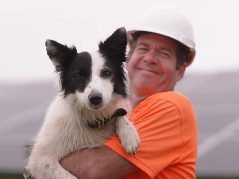 How A Shepherd and Solar Developer Are Joining Forces to Grow Sheep ...