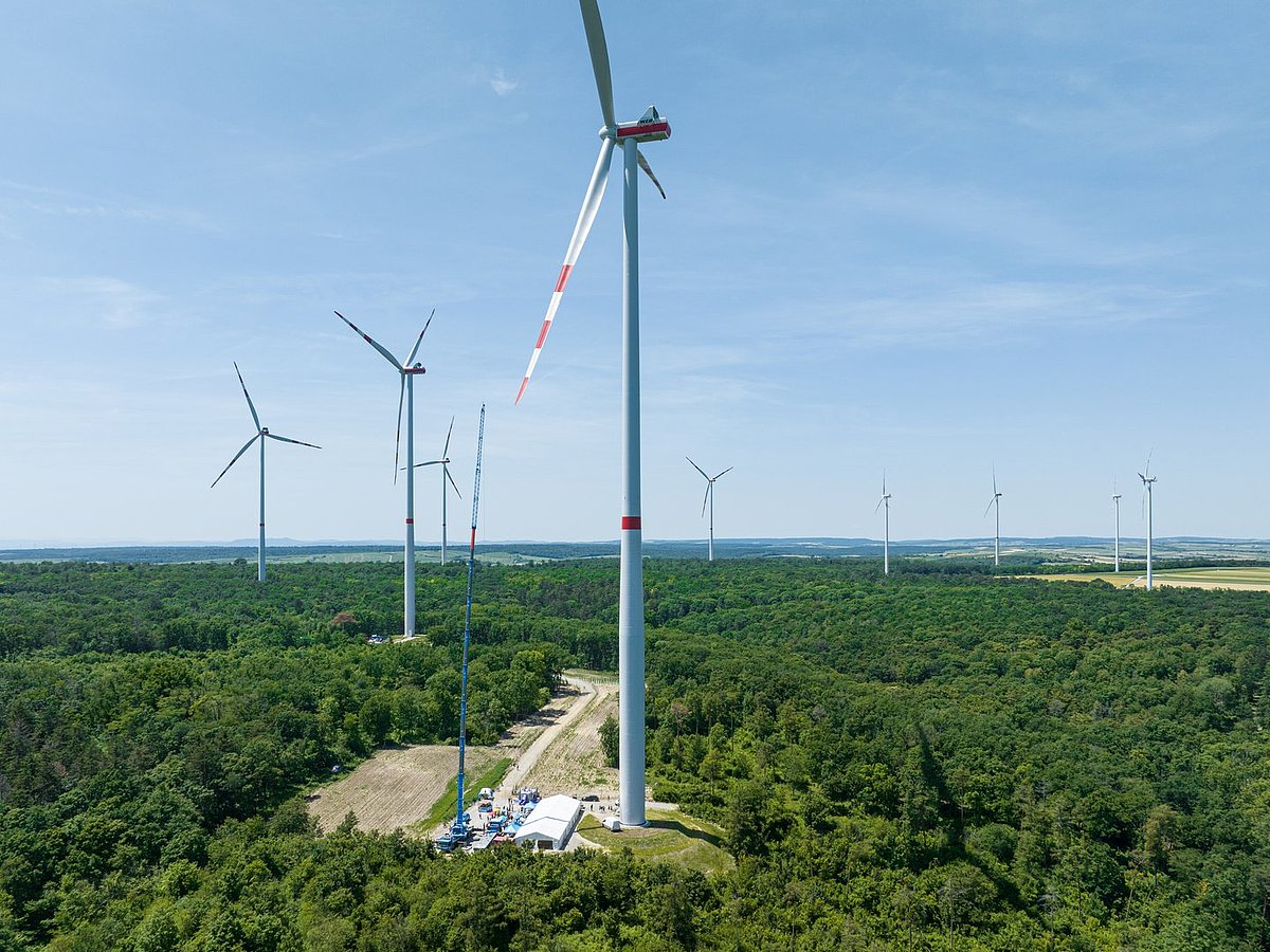 Blueberry Acres Wind Energy Project: Tell us how to energize your ...