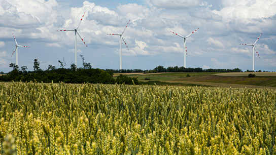 Projekte & Leistungen - W.E.B. Windenergie